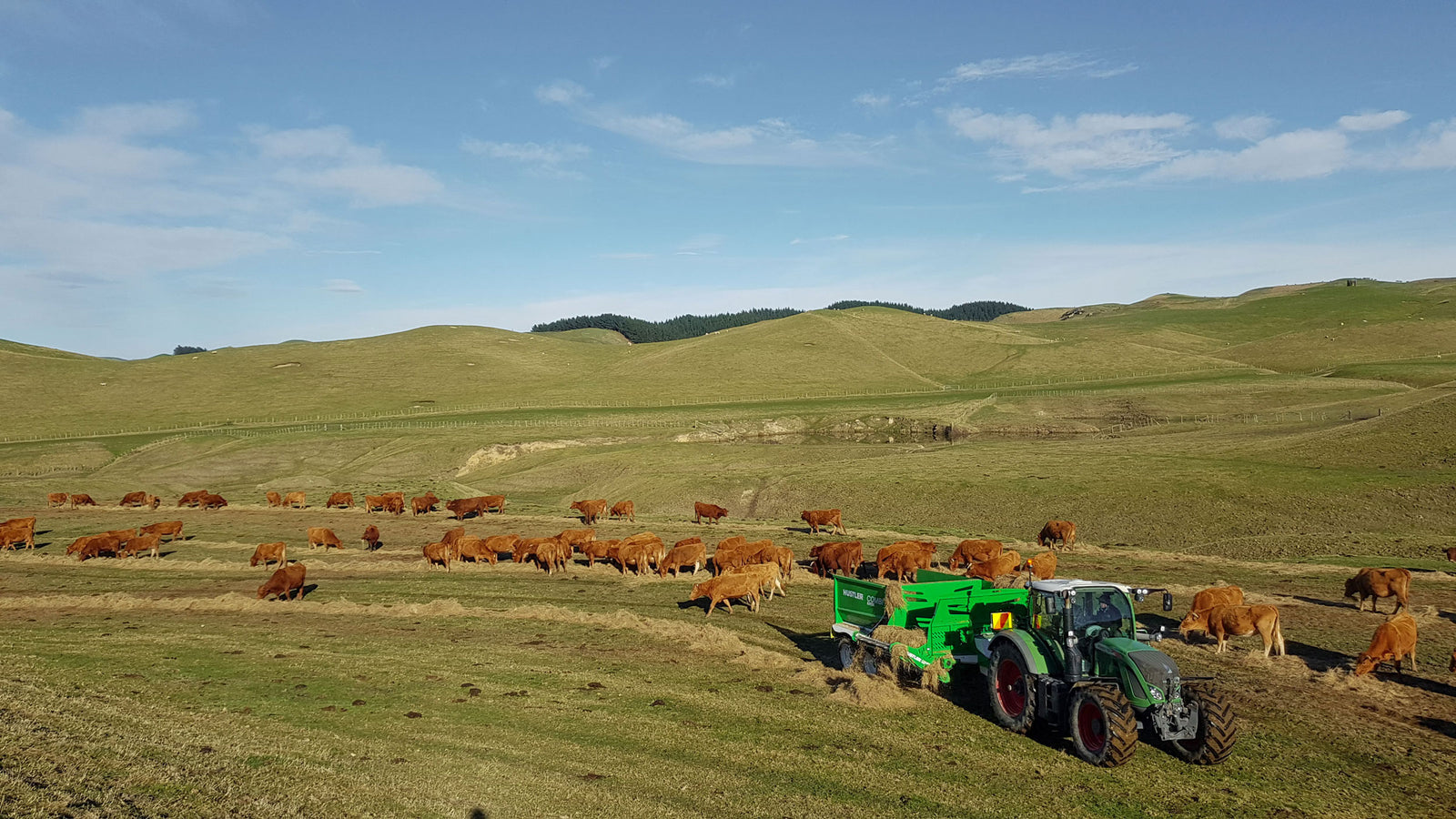 Combi RX Multi-Feeder. Elevate Your Livestock Management Today – Armour ...
